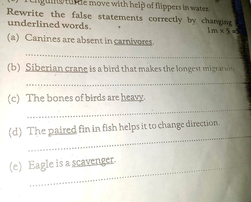 SOLVED: 'rewrite the following statements correctly by changing the ... SOLVED: 'rewrite the following statements correctly by changing the ...