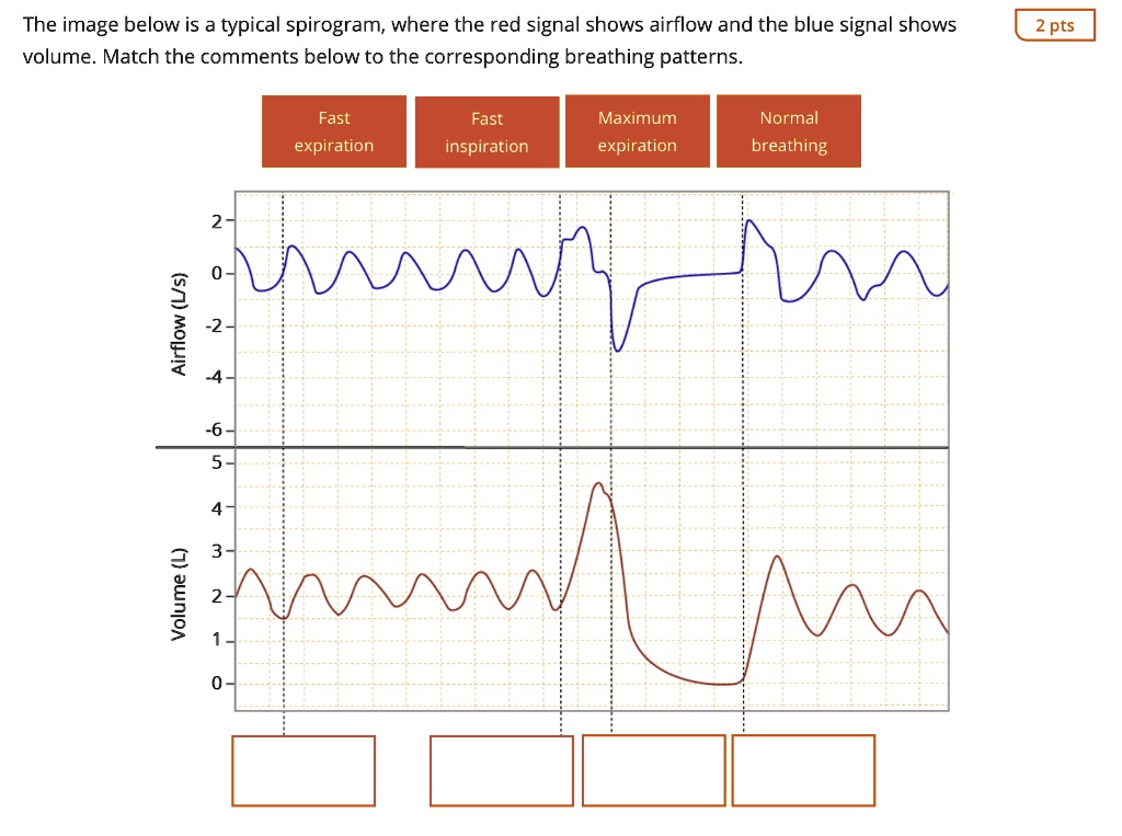 The image below is a typical spirogram, where the red signal shows ...