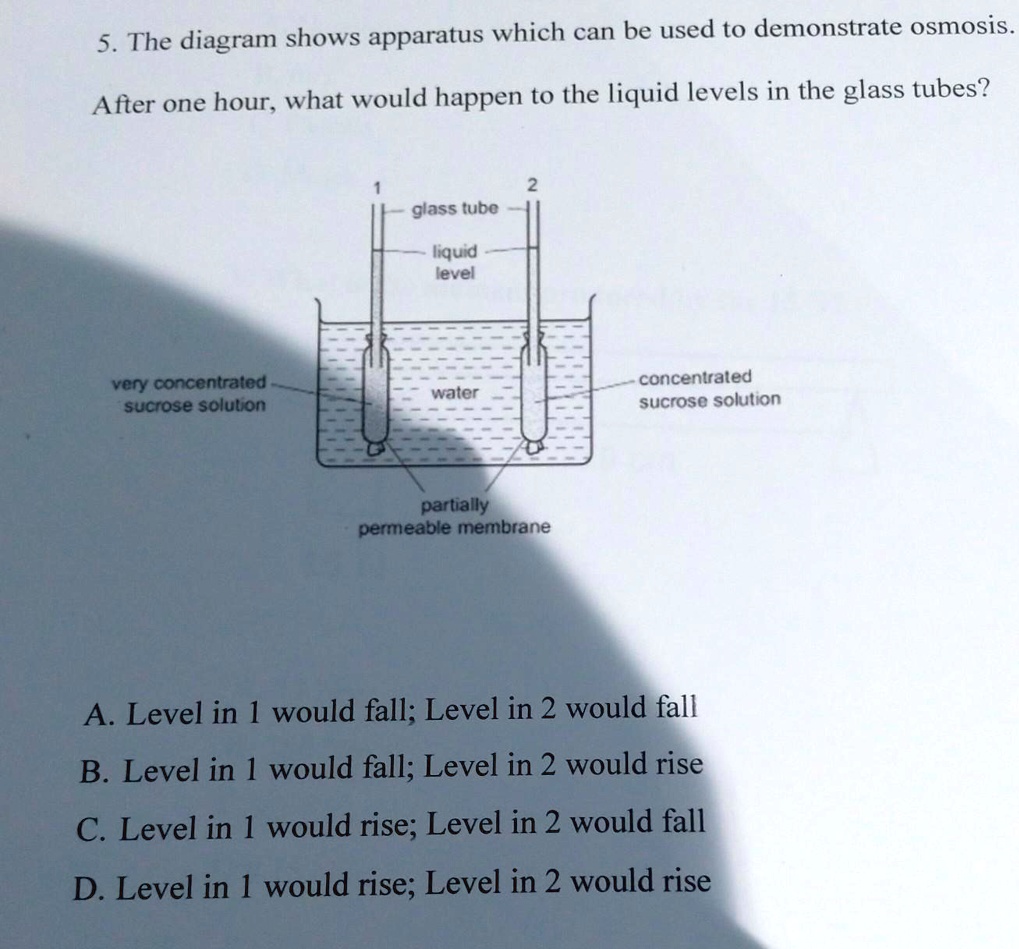 SOLVED: Please help me with question five. 5. The diagram shows ...