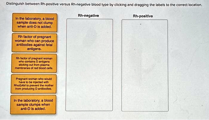 SOLVED: Distinguish between Rh-positive versus Rh-negative blood type ...