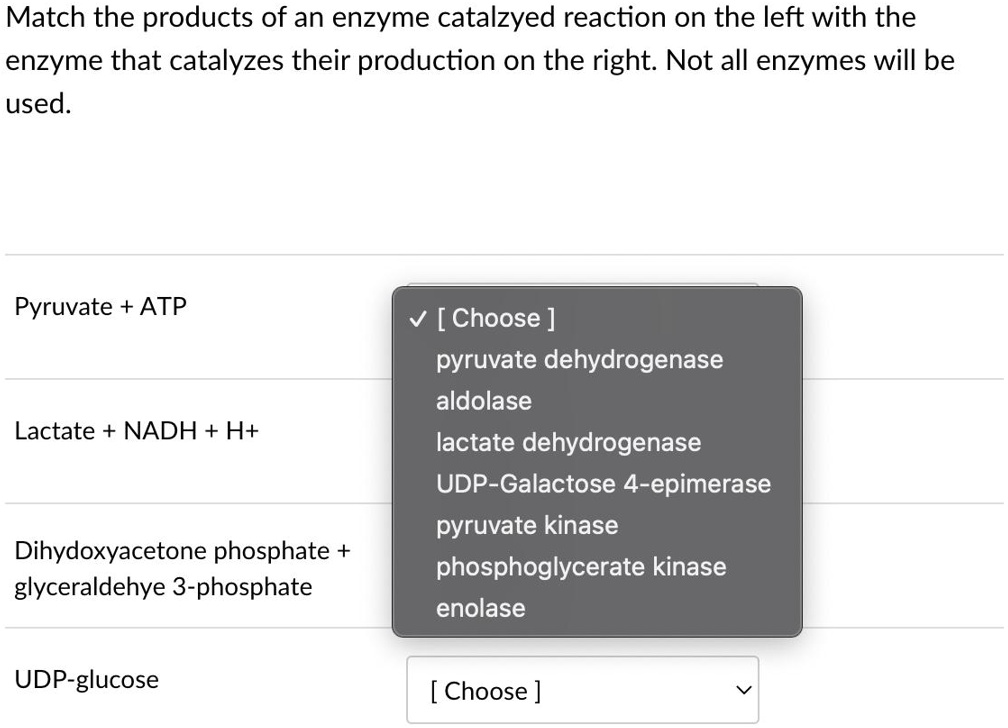 What Are The Products Of Catalase Enzyme Reaction at Thomas Castro blog