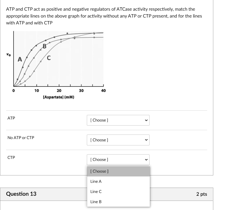 SOLVED: ATP and CTP act as positive and negative regulators of ATCase activity respectively ...