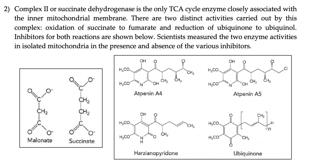 compare the structure of the inhibitors to the substrates what type of ...