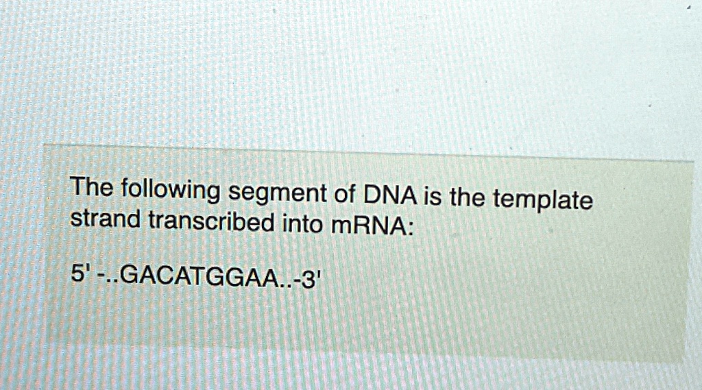 SOLVED: The following segment of DNA is the template strand transcribed into mRNA: 5 ...