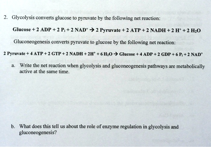 SOLVED: Glycolysis converts glucose to pyruvate by the following net ...