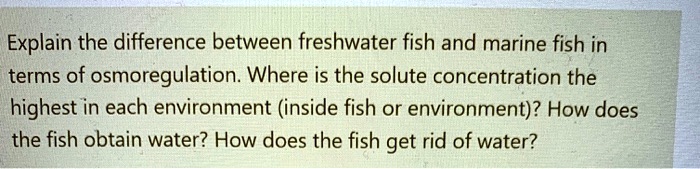 SOLVED: Explain the difference between freshwater fish and marine fish ...