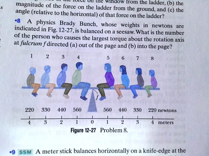 SOLVED: A physics Brady Bunch who's weights and newtons are indicated ...