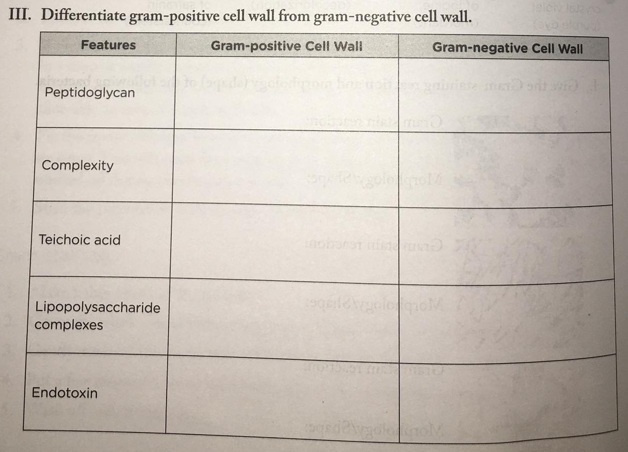 III. Differentiate gram-positive cell wall from gram-negative cell wall ...