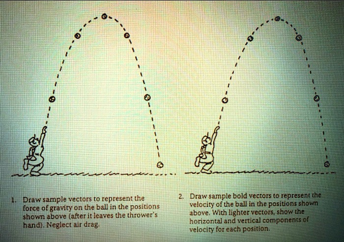 draw sample vectcrs t0 representhe force of gravity on the ball in the ...
