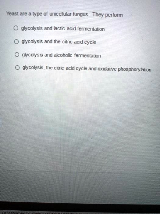 SOLVED: Yeast are a type of unicellular fungus. They perform ...