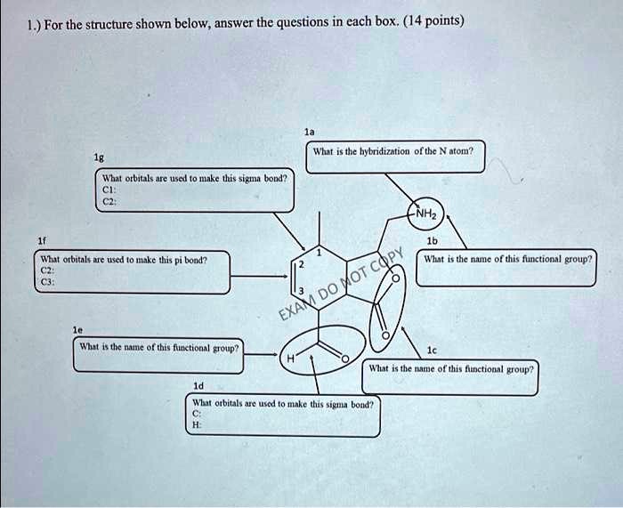 1for the structure shown belowanswer the questions in each box14 points ...