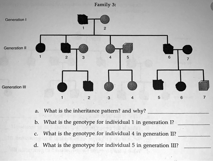 SOLVED:Family 3: Generation Generation Il Generation III What is the ...