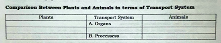 SOLVED: Infographic comparison between plants and animals in terms of ...