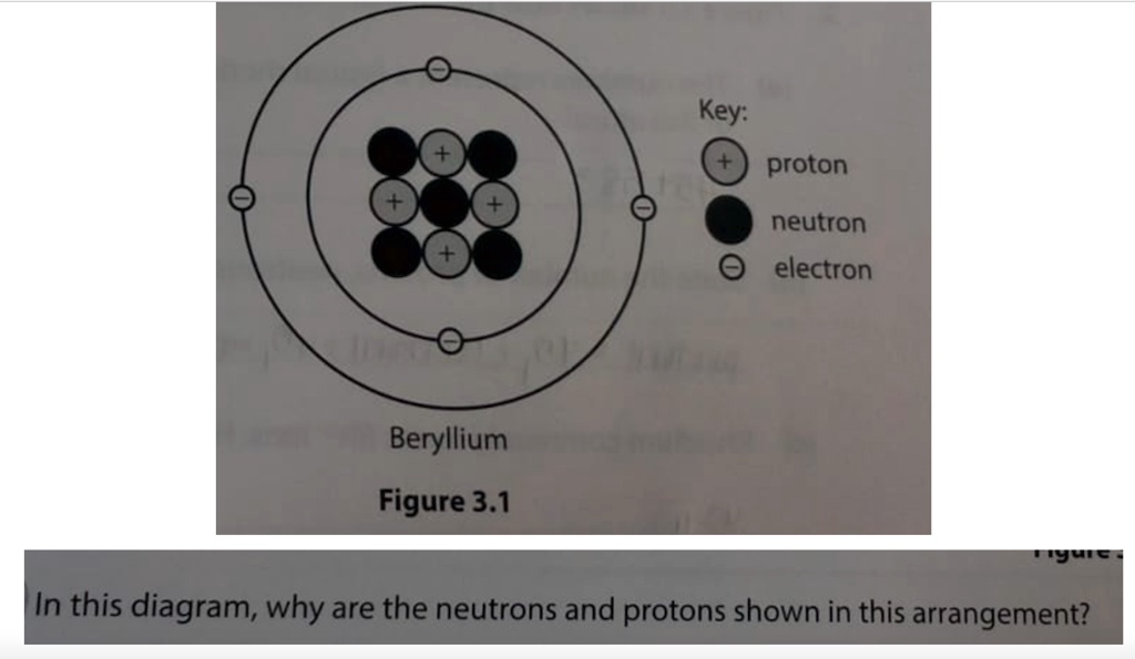 In this diagram, why are the neutrons and protons shown in this ...