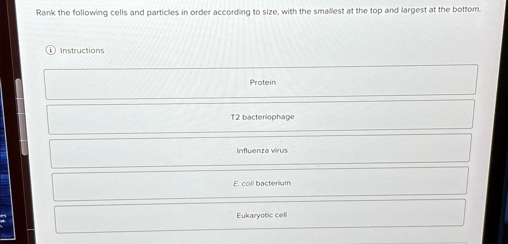 rank the following cells and particles in order according to size with ...