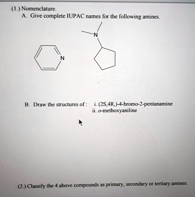 SOLVED: (1.) Nomenclature Give complete IUPAC names for the following amines Draw the structures ...