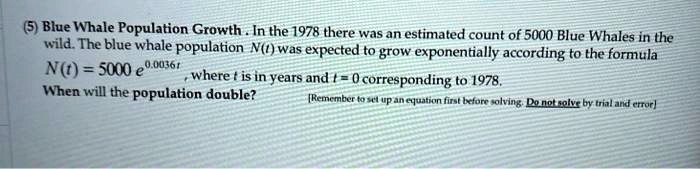 SOLVED: Blue Whale Population Growth In 1978, there was an estimated ...