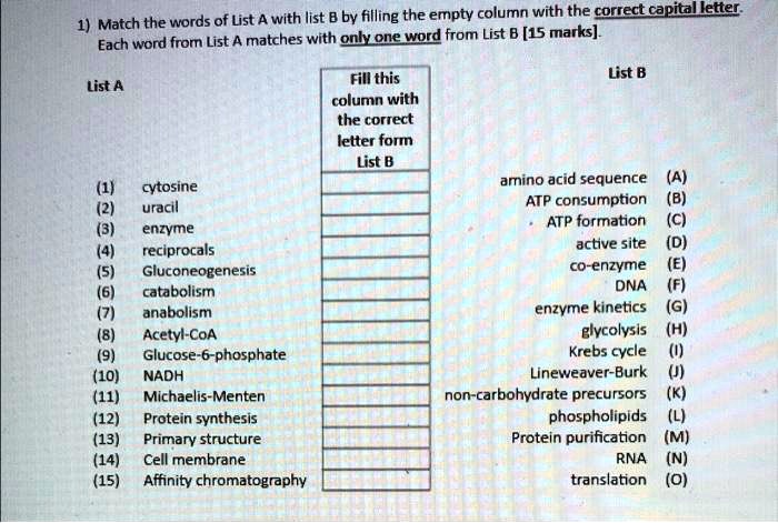 1 match the words of list a with list b by filling the empty column ...