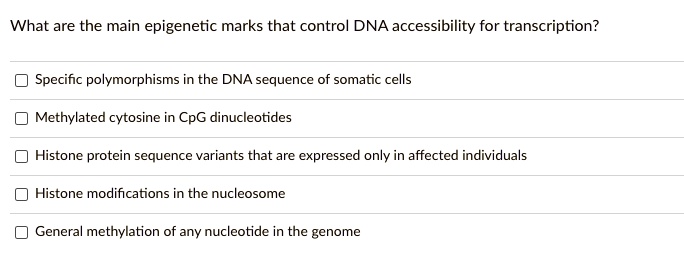 SOLVED: What are the main epigenetic marks that control DNA ...