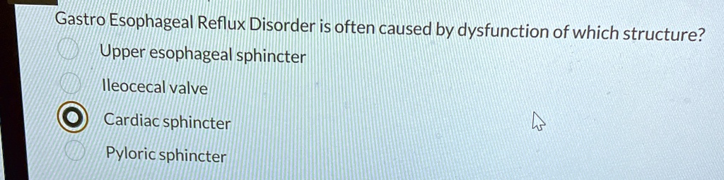 gastro esophageal reflux disorder is often caused by dysfunction of ...
