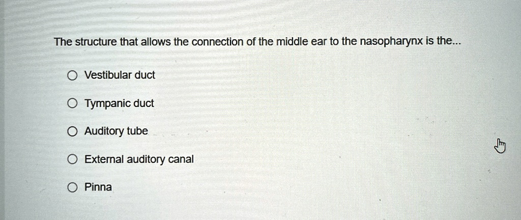 the structure that allows the connection of the middle ear to the ...