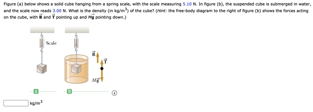 Spring Scale Diagram