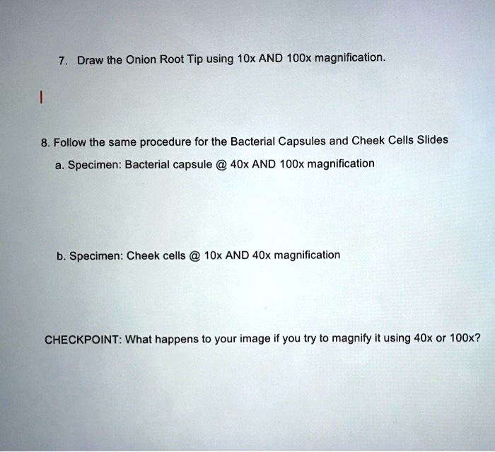7. Draw the Onion Root Tip using 10x AND 100x magnification. 8. Follow ...