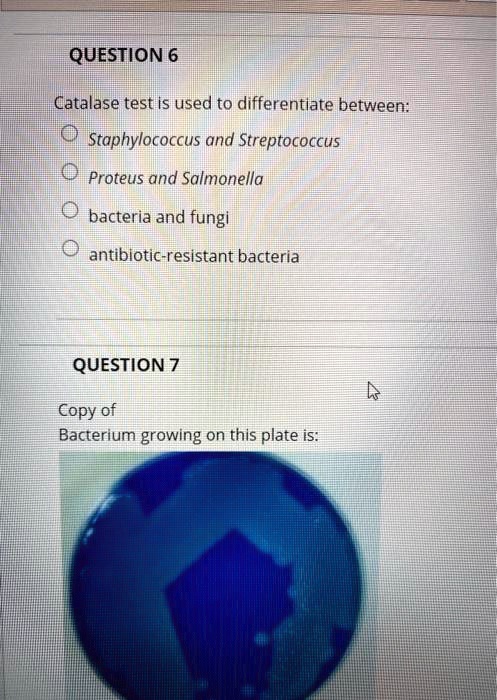 SOLVED:QUESTION 6 Catalase test is used to differentiate between ...