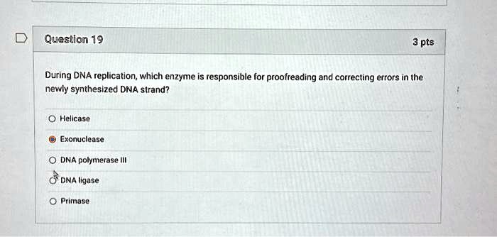 Question 19 3 pts During DNA replication, which enzyme is responsible for proofreading and ...