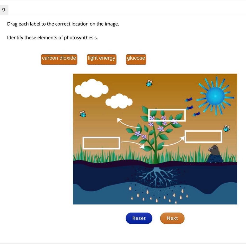 9 Drag each label to the correct location on the image. Identify these elements of ...
