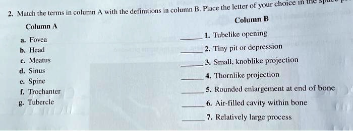 SOLVED: Choice in the column B. Place the letter of your 2. Match the terms in column A with the ...