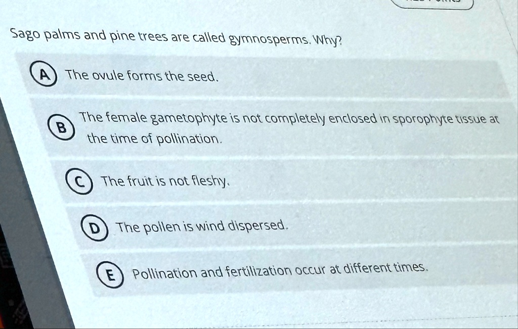 sago palms and pine trees are called gymnosperms why a the ovule forms ...