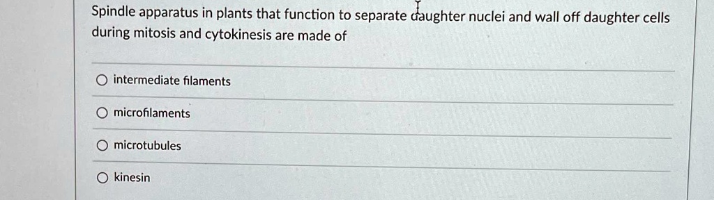 Spindle apparatus in plants that function to separate daughter nuclei ...