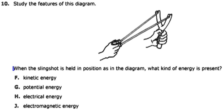 10. Study the features of this diagram. When the slingshot is held in ...