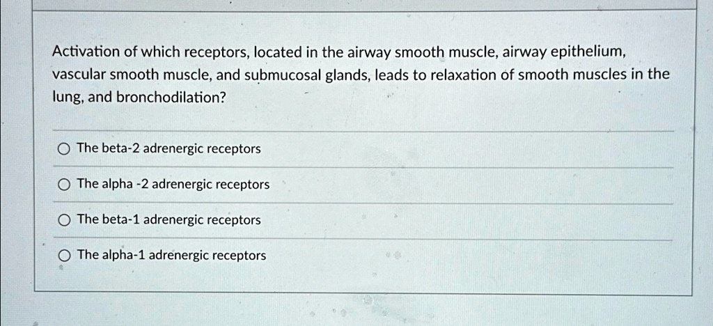 Activation of which receptors, located in the airway smooth muscle ...