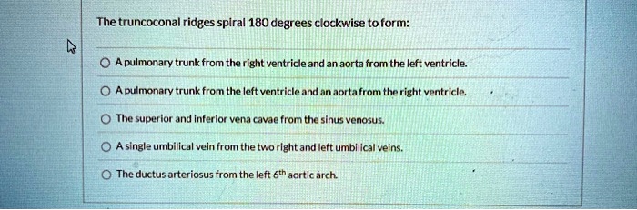 the truncoconal ridges spiral 180 degrees clockwise to form apulmonary ...