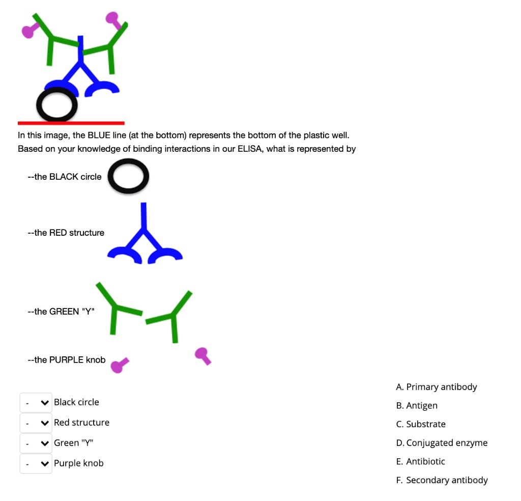 SOLVED: 32 Based on your knowledge of In this image, the BLUE line (at ...