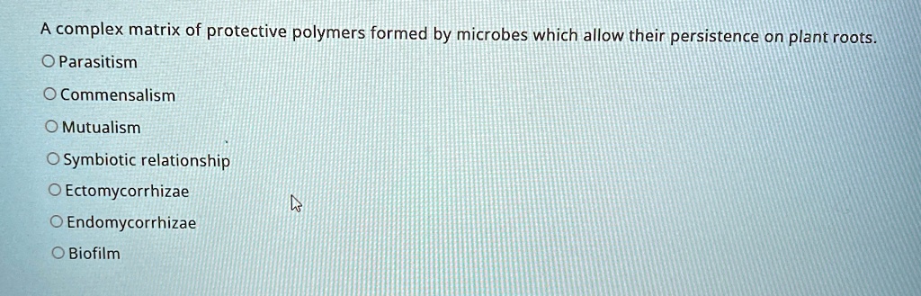 a complex matrix of protective polymers formed by microbes which allow ...