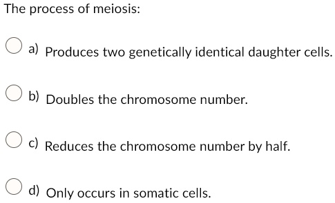 The process of meiosis: a) Produces two genetically identical daughter ...