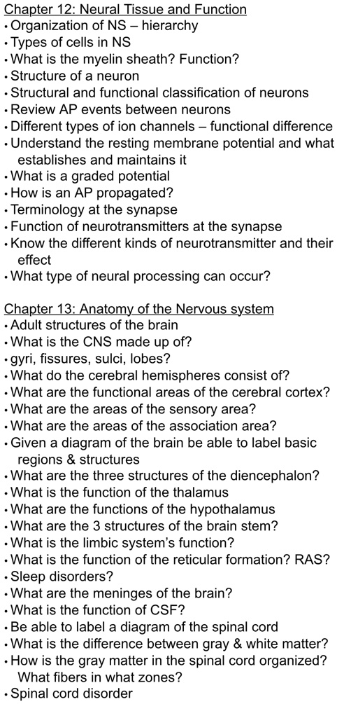 SOLVED: Chapter 12: Neural Tissue and Function Organization of NS ...