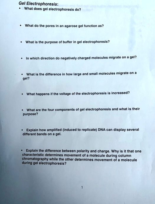 Gel Electrophoresis: • What does gel electrophoresis do? • What do the ...