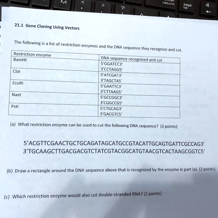 21 1 Gene Cloning Using Vectors The Following Is A List Of Restriction