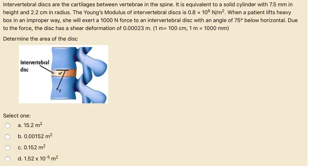 SOLVED: Intervertebral discs are the cartilages between vertebrae in ...