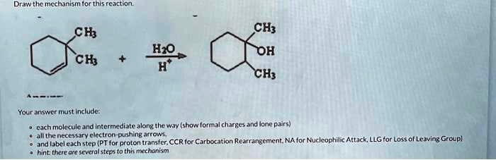 Draw the mechanism for this reaction. CH3 CH3 CH3 + H2O H OH CH3 Your answer must include: each ...