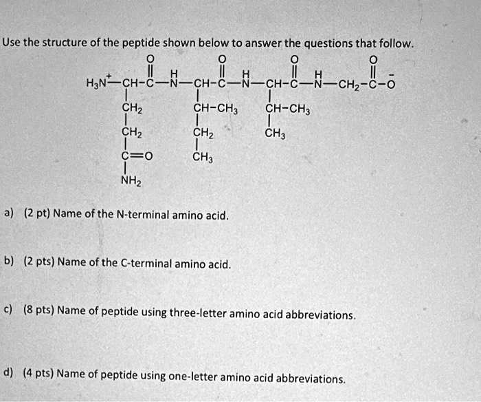 Use the structure of the peptide shown below to answer the questions ...