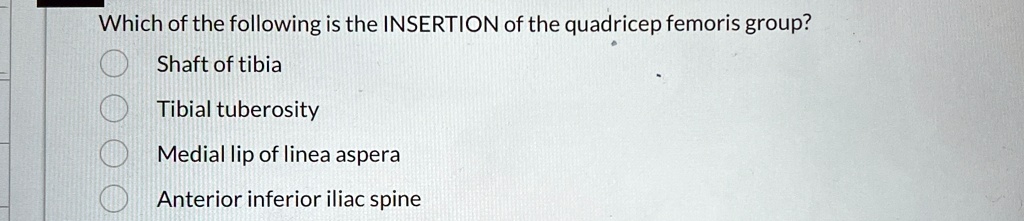 Which of the following is the INSERTION of the quadricep femoris group ...