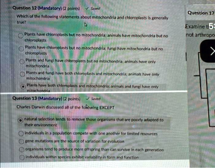 SOLVED: Question 12Mandatory2 points Saved Which of the following ... SOLVED: Question 12Mandatory2 points Saved Which of the following ...