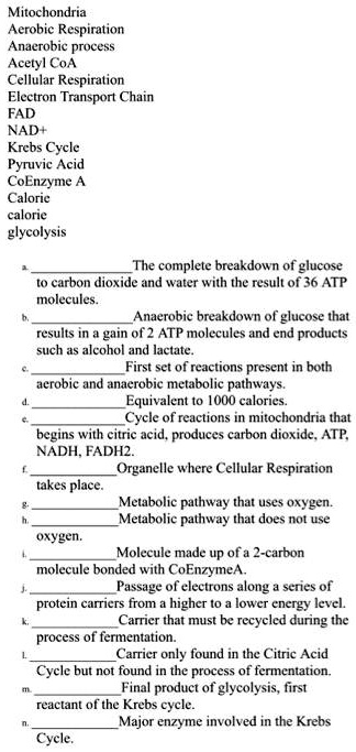 SOLVED: Major enzyme involved in the Krebs Cycle and etc. cell ...