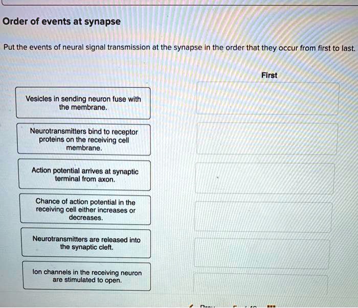 order of events at synapse put the events of neural signal transmission ...