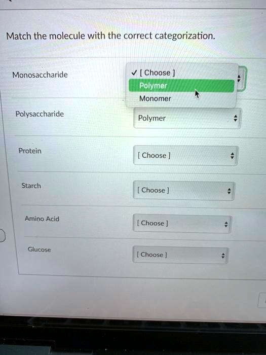 Match The Molecule With The Correct Categorization Monosaccharide